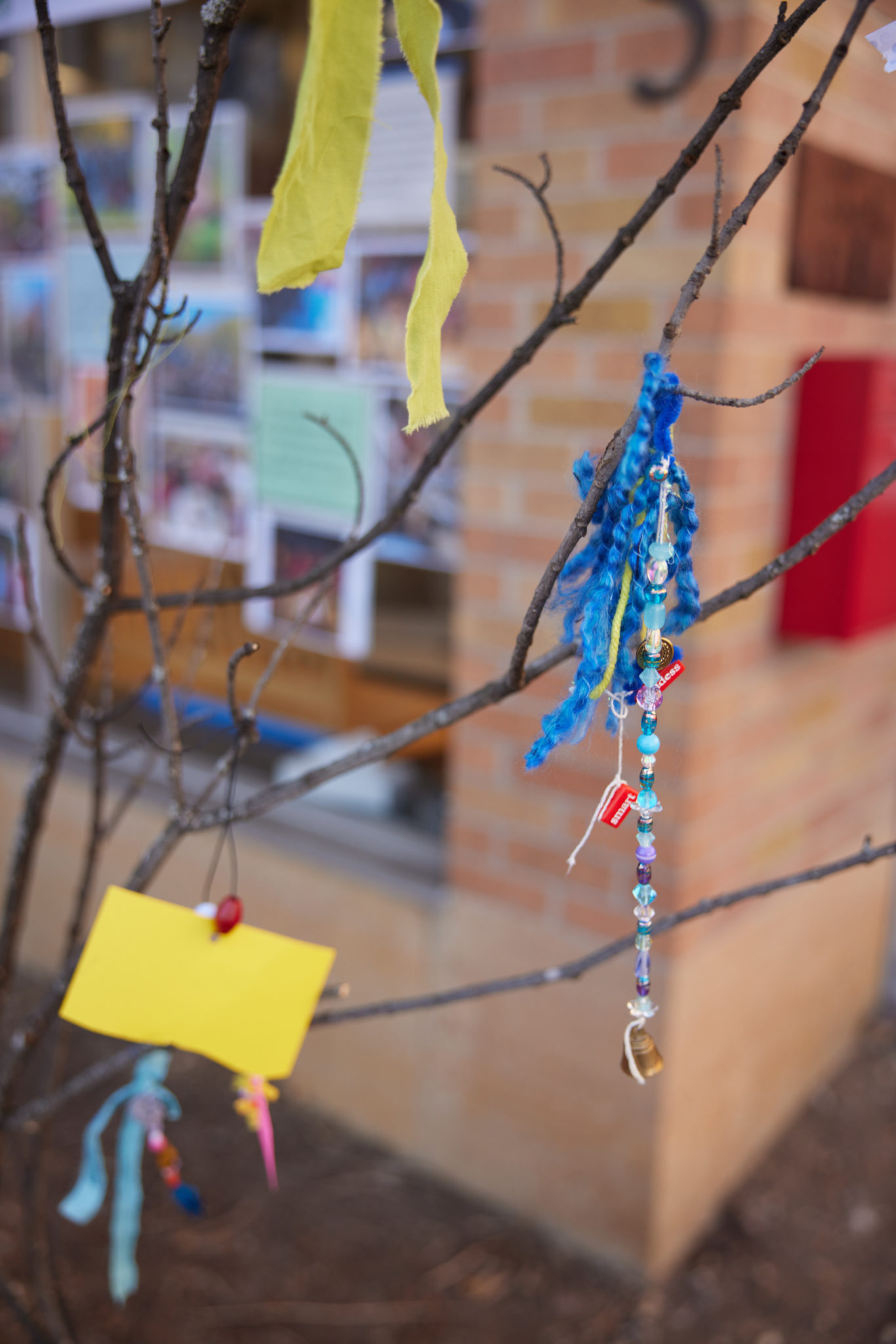 Our Community Wish Tree
