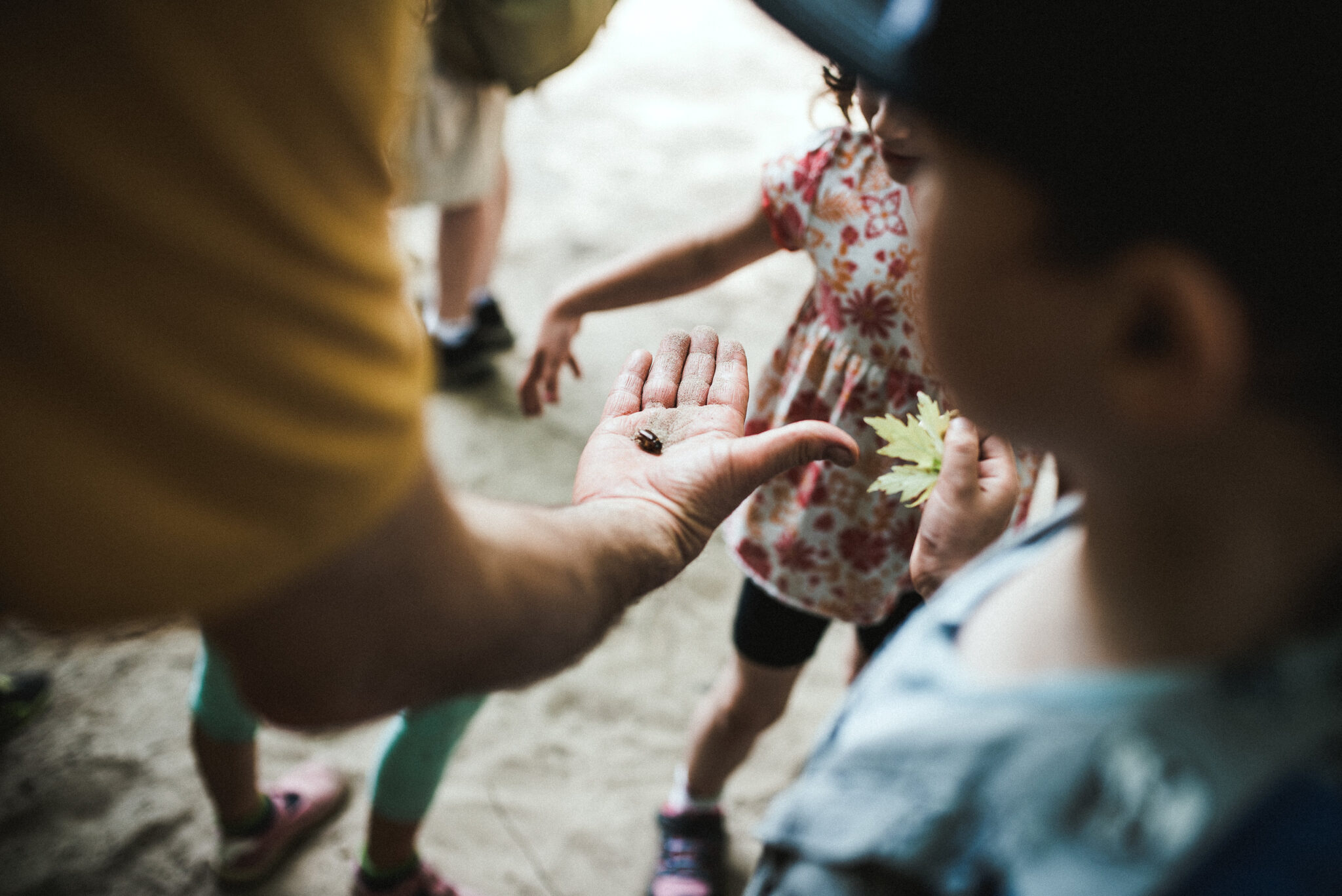 Being a Naturalist: The Role of Wonder
