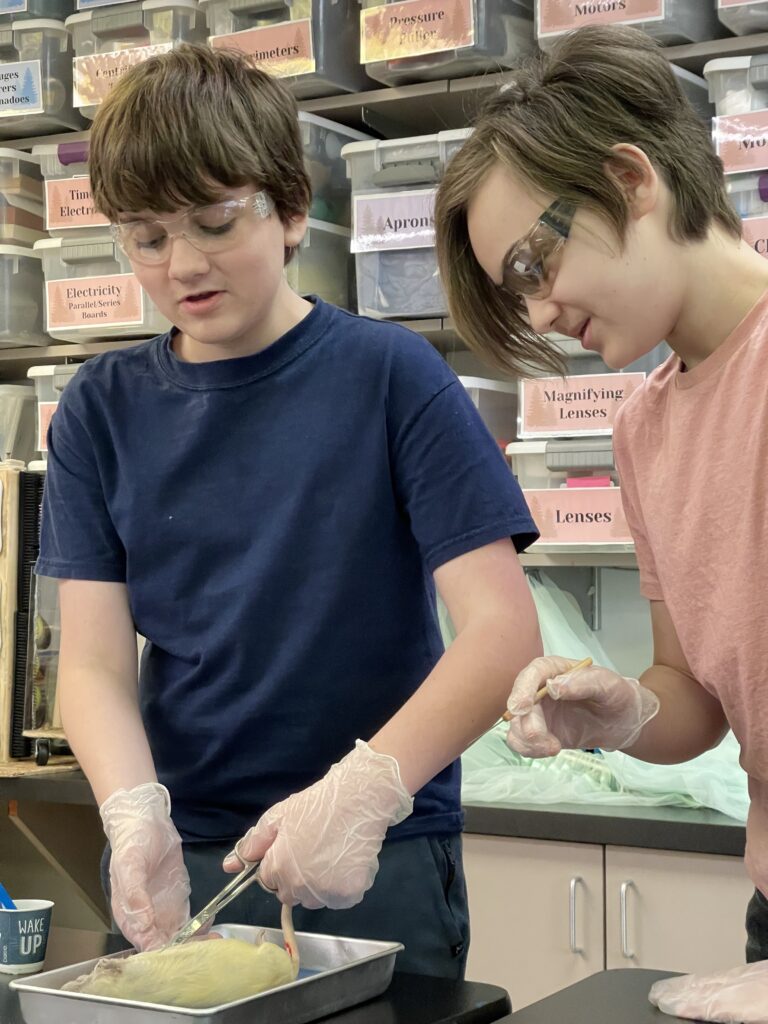 In Science – Hands-On Learning for 7th and 8th Graders