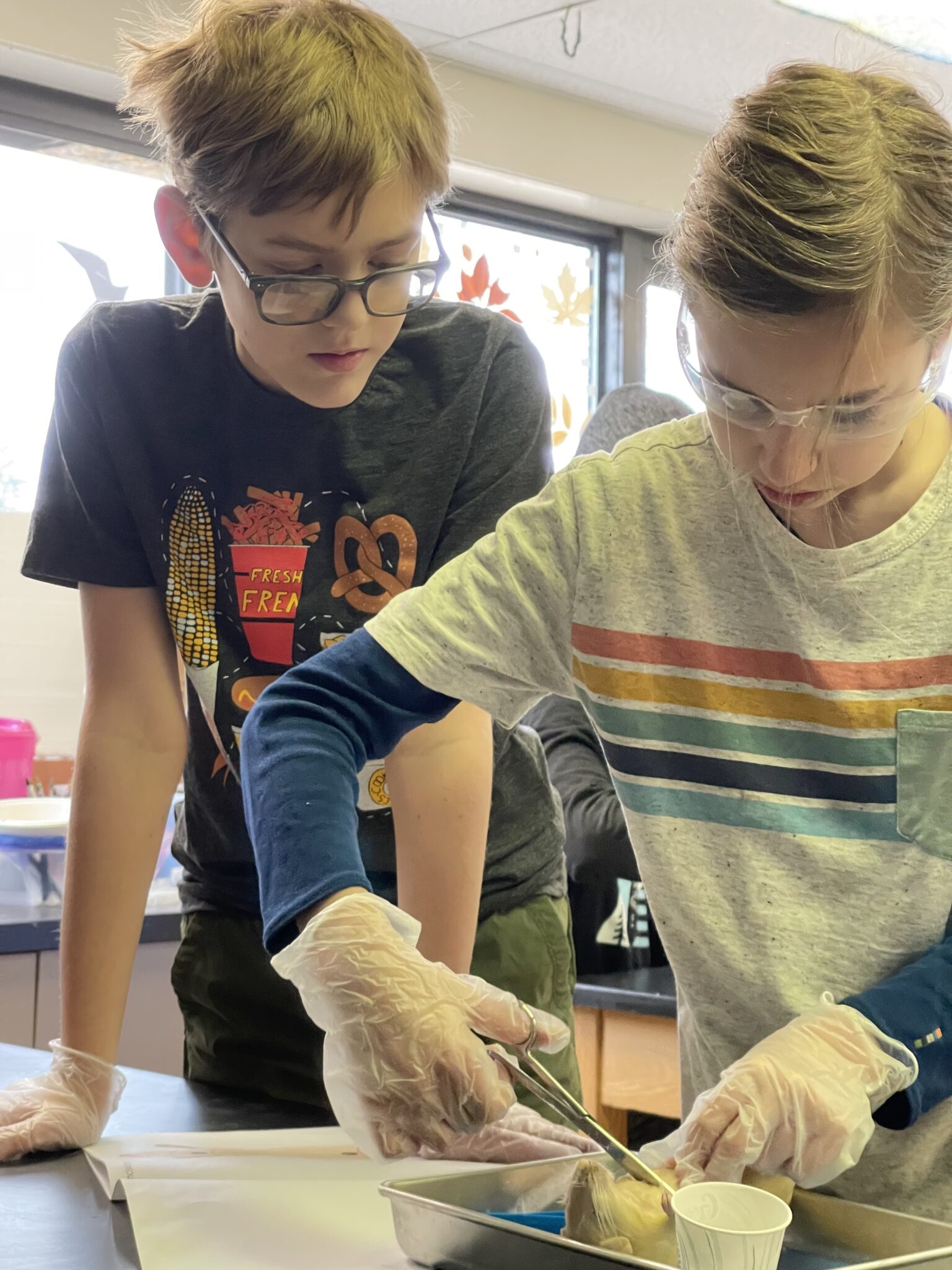 In Science – Hands-On Learning for 7th and 8th Graders